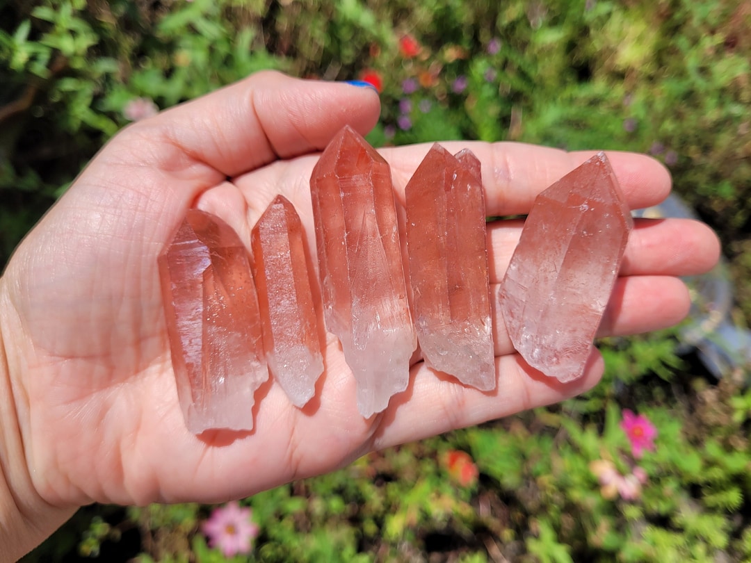Rare Red Scarlett Lemurians ~ 5 Piece Sets ~ Lemurian Seed Quartz ...