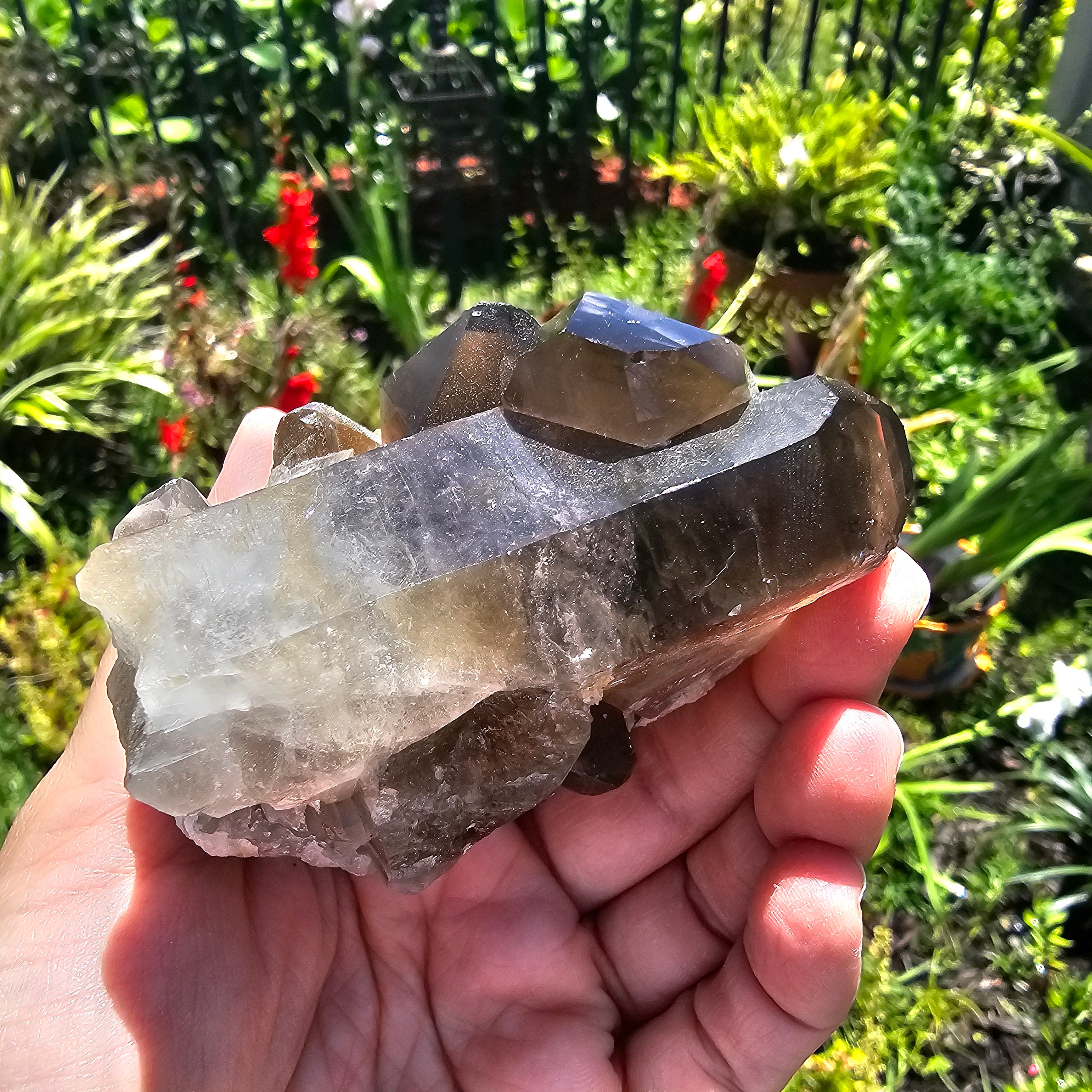Black Smoky Quartz Cluster 3" Brazil Healing Crystal Quartz Negativity ...