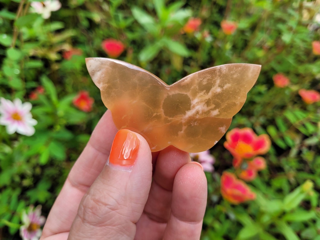 Honey Calcite Butterfly 2.5" (64mm) ~ Pakistan ~ Orange Mineral Crystal ...