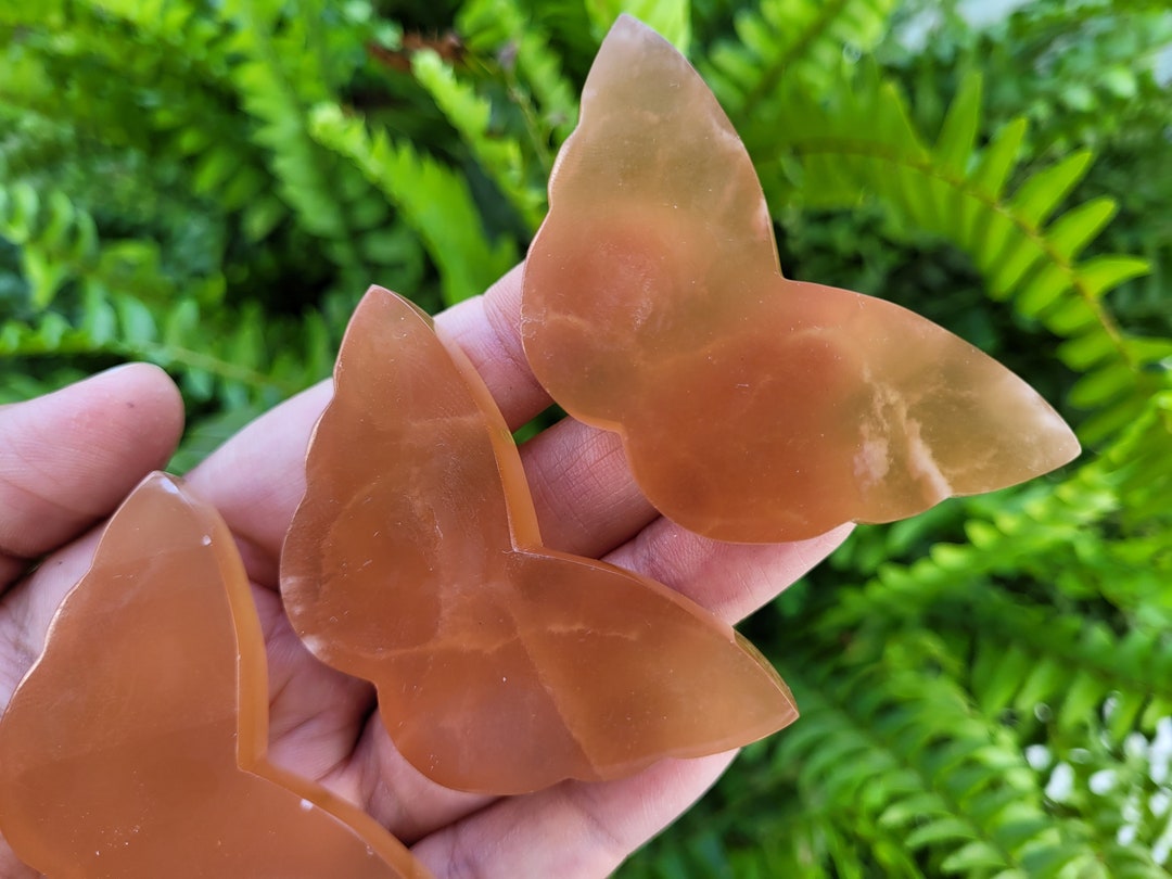 Honey Calcite Butterfly 2.5" ~ Choose Your Piece ~ Pakistan ~ Orange ...