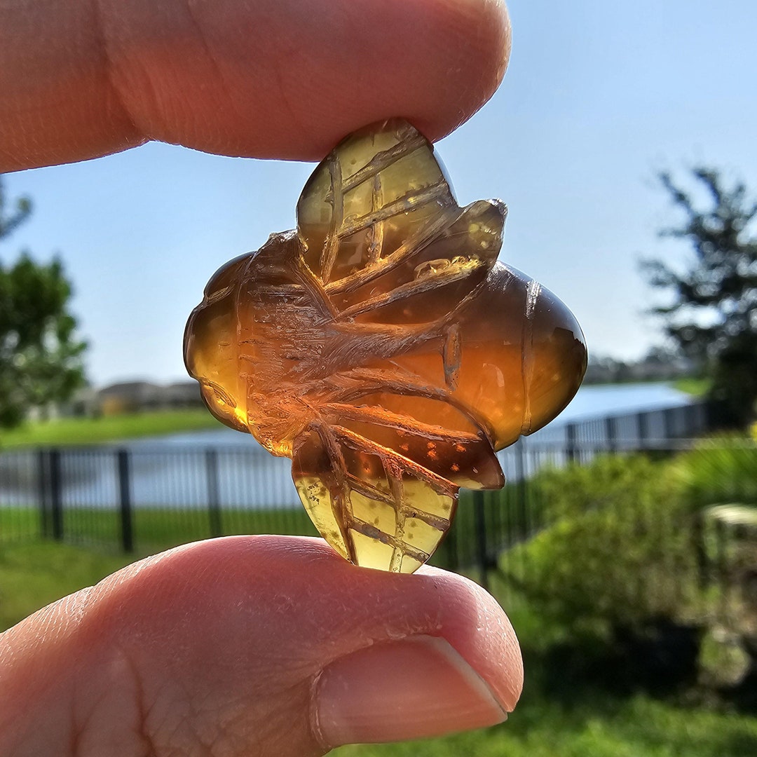 Genuine Amber Bee Carving From Kalimantan Indonesia 1.25 Hand Carved ...