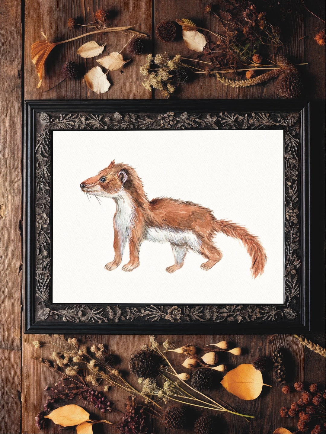 A5 Watercolour Weasel Art Print A5, Cute Weasel Art, British Wildlife ...