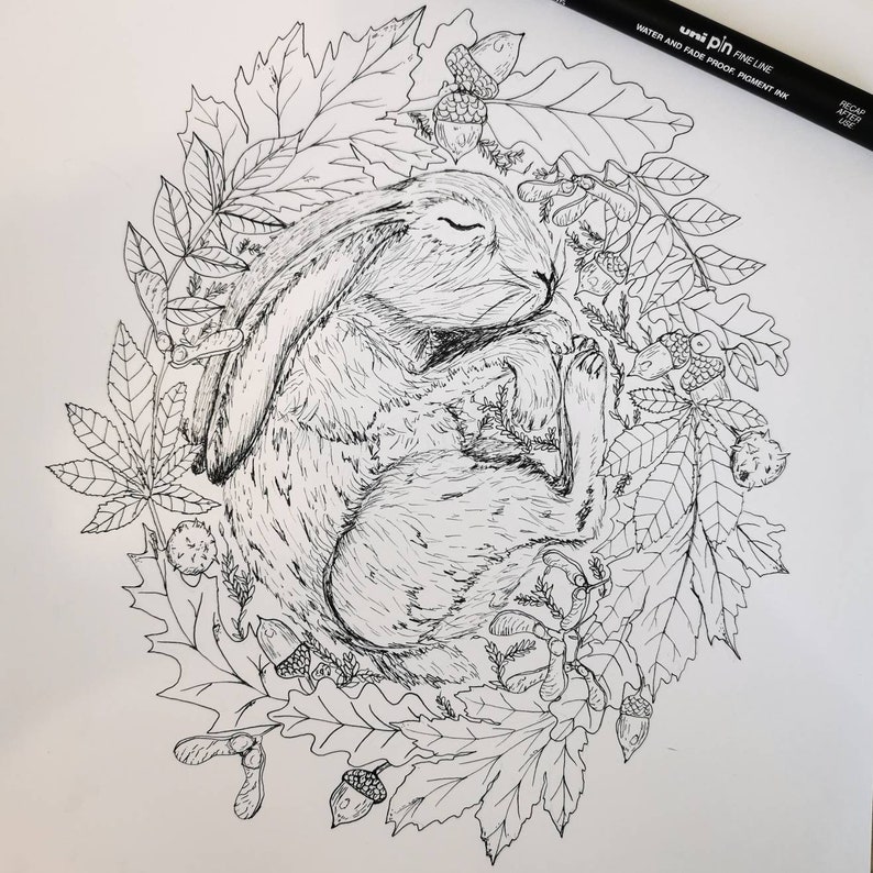 Hare Ink Illustration| Rabbit Drawing | Autumn Wildlife Art | Original ...