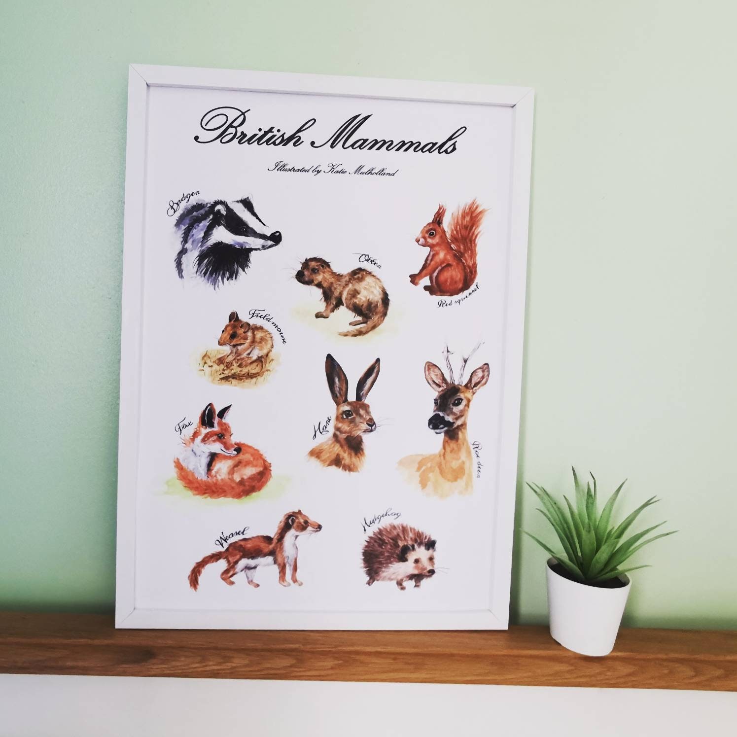 British Wildlife A3 Poster Woodland Animal Poster British Mammal ...