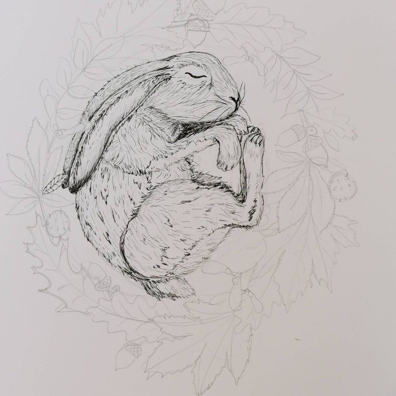 Hare Ink Illustration Rabbit Drawing Autumn Wildlife Art | Etsy