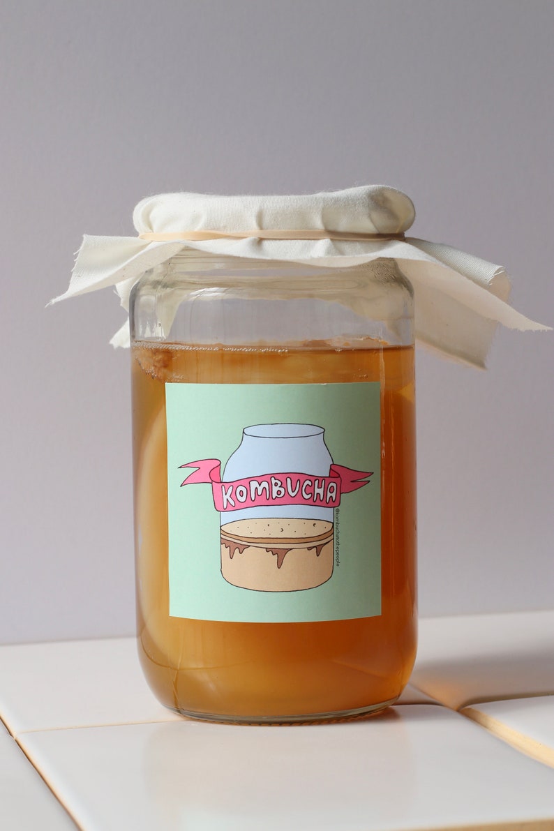 Kombucha SCOBY With Starter Tea - Etsy