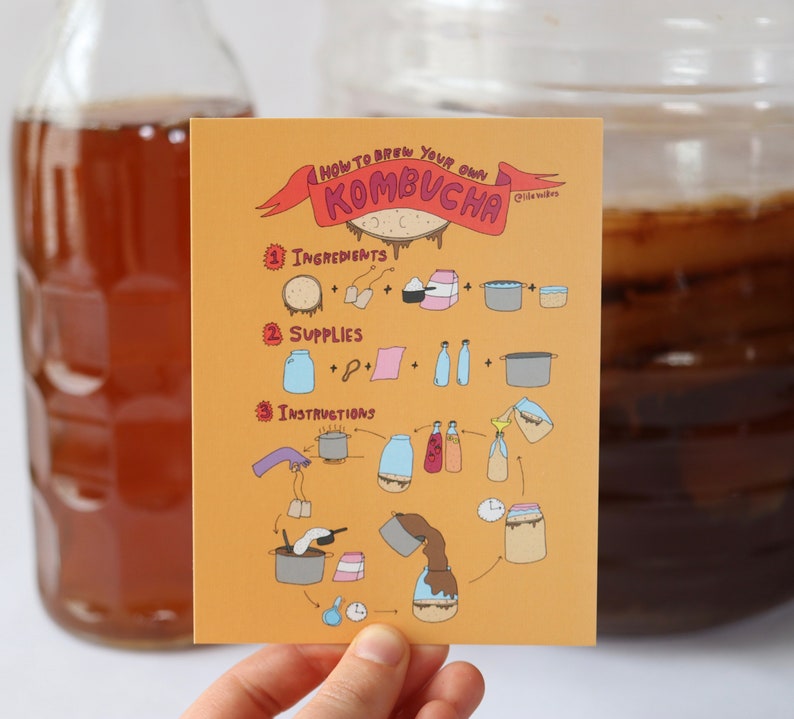Kombucha Infographic Mini Print - Etsy
