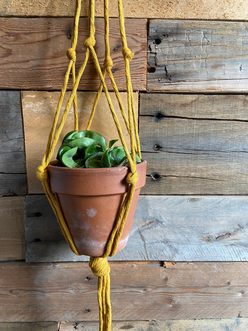Simple Rope Macrame Plant Hanger Minimalist Plant Hanger - Etsy