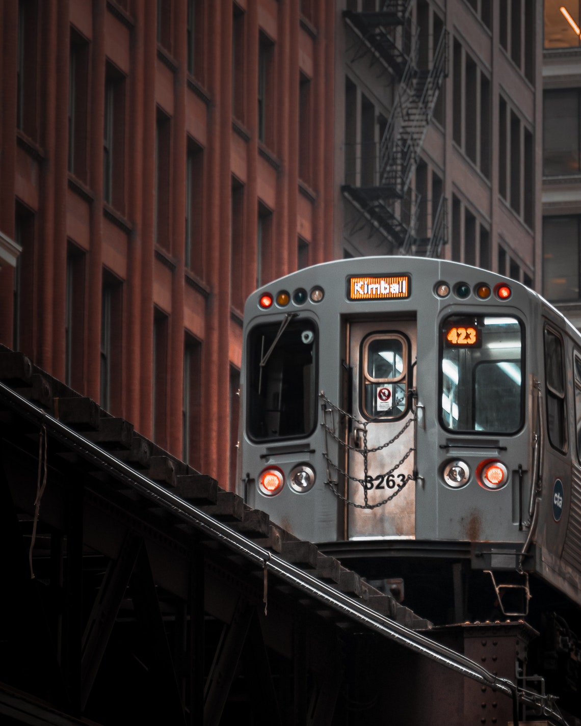 EL Train Chicago Chicago Photography Wall Art Fine Art | Etsy