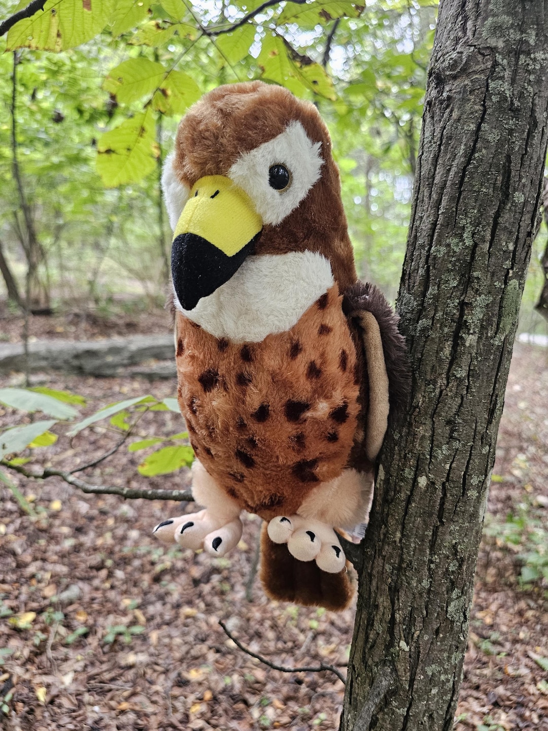 Hawk Plush - Etsy