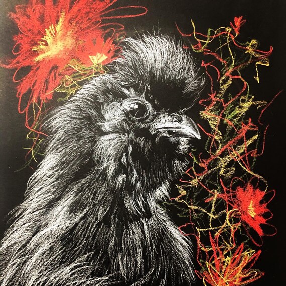 Silkie Chicken Portrait Negative Drawing White Charcoal on | Etsy