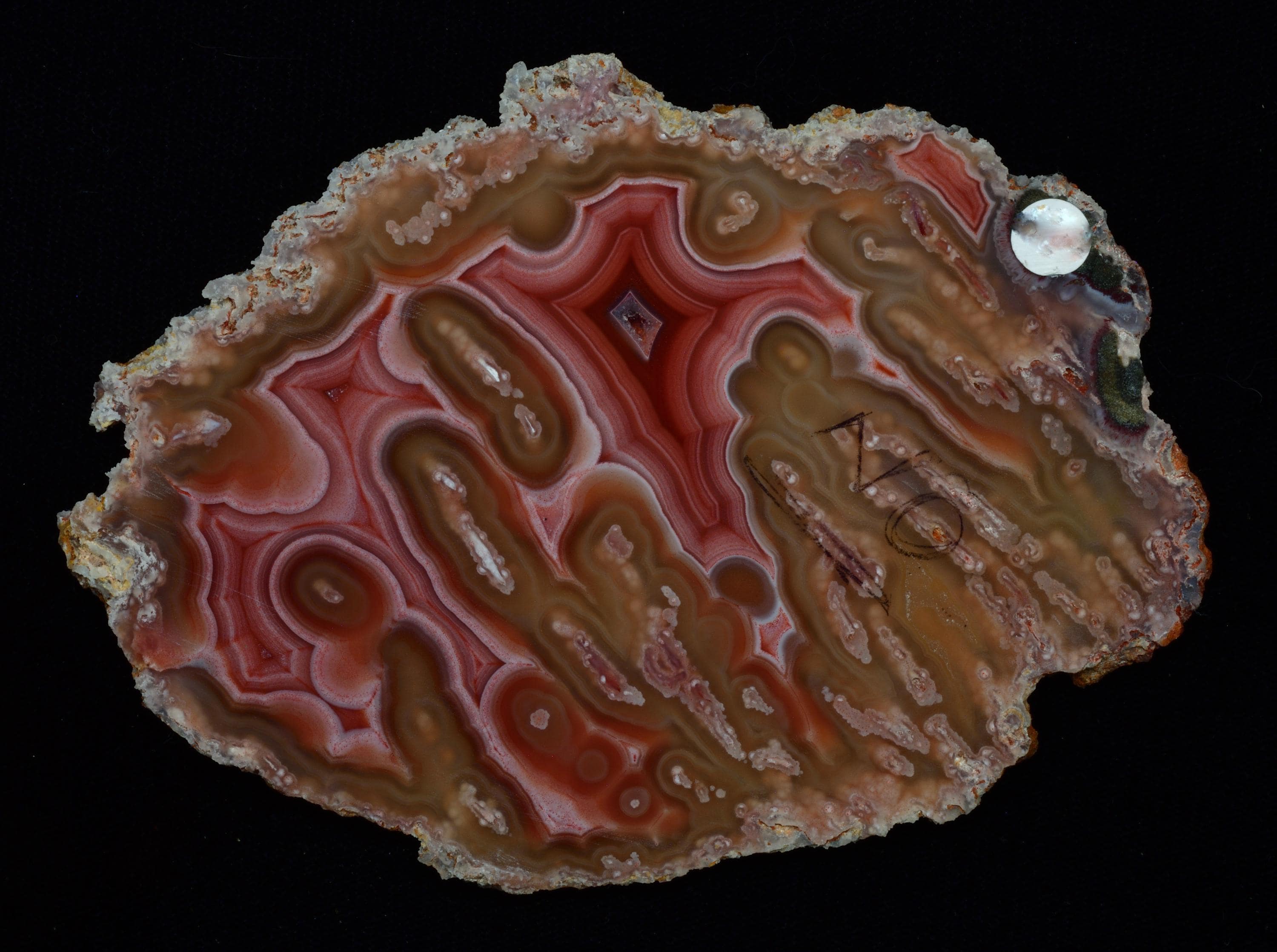 Coyamito Pseudomorph Agate Slab - Etsy