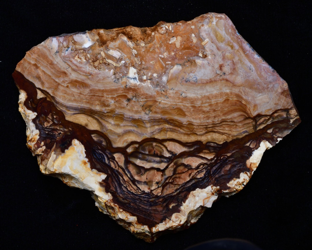 Thick Biggs Jasper Display Slab - Etsy