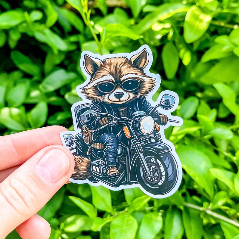 Raccoon Motorcycle Sticker - Etsy