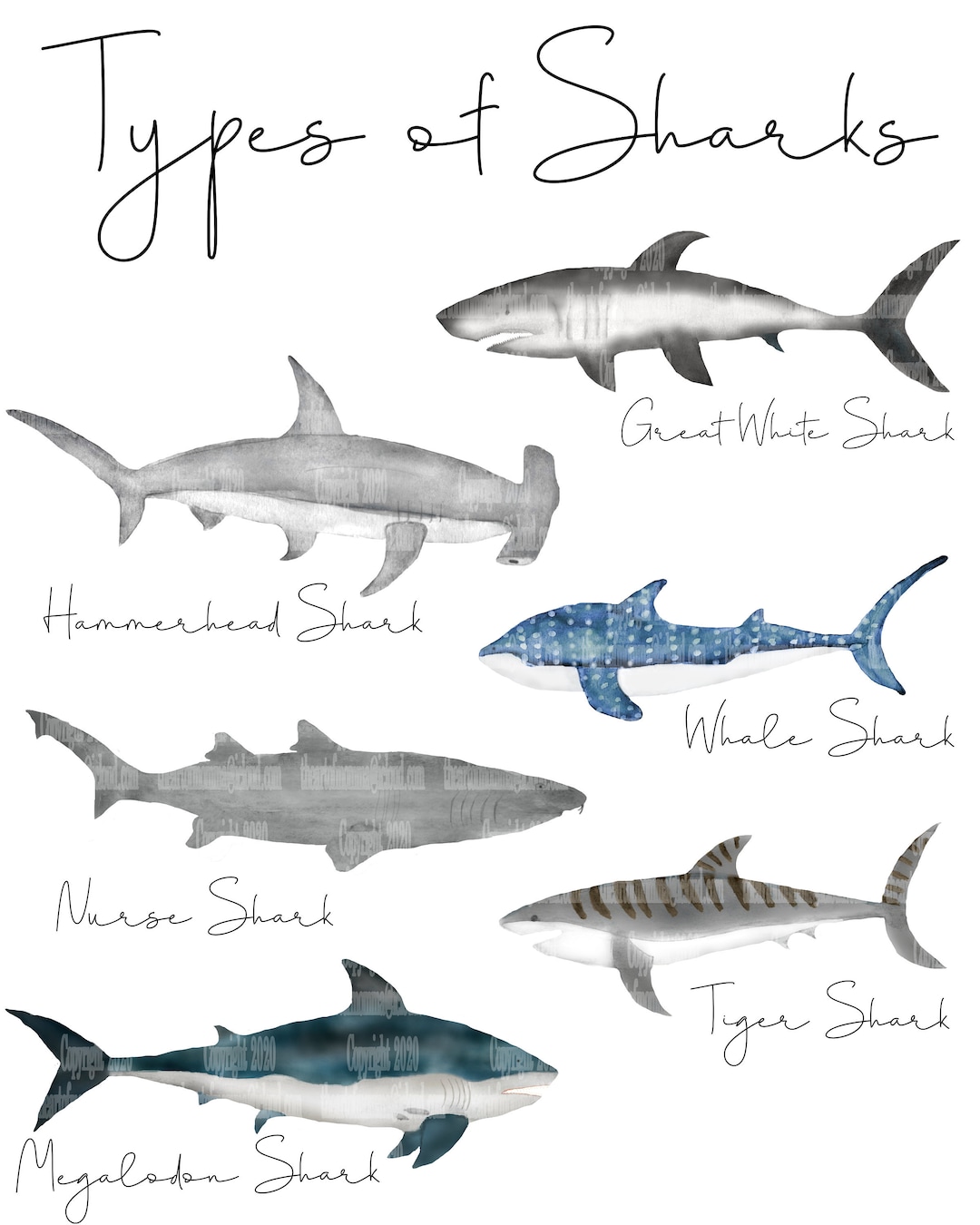 Types of Sharks Sign / Digital Print / Instant Download / Wall Decor ...