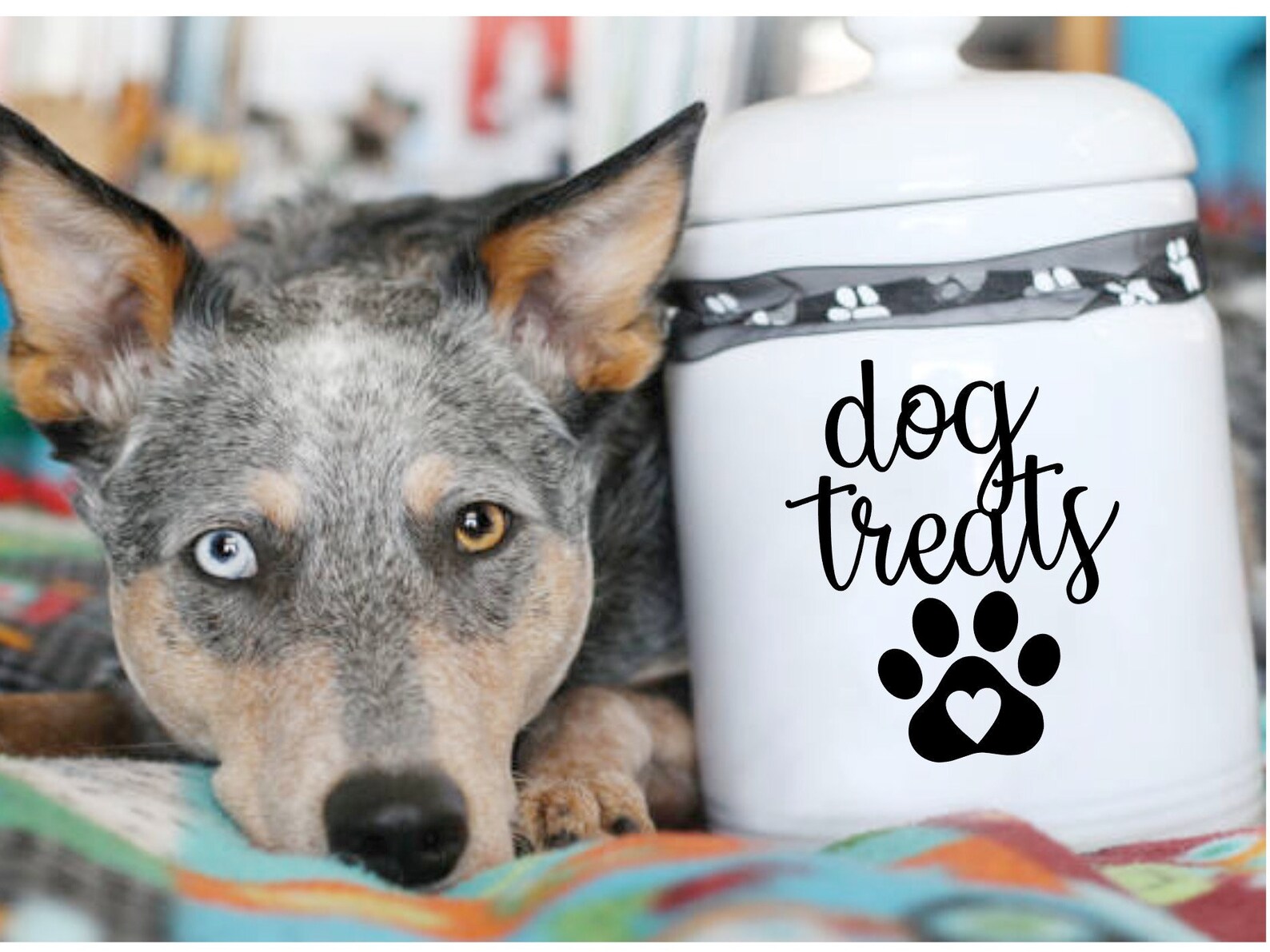 Dog Labels Digital File Svg Dog Food Dog Treats Pet Svg | Etsy