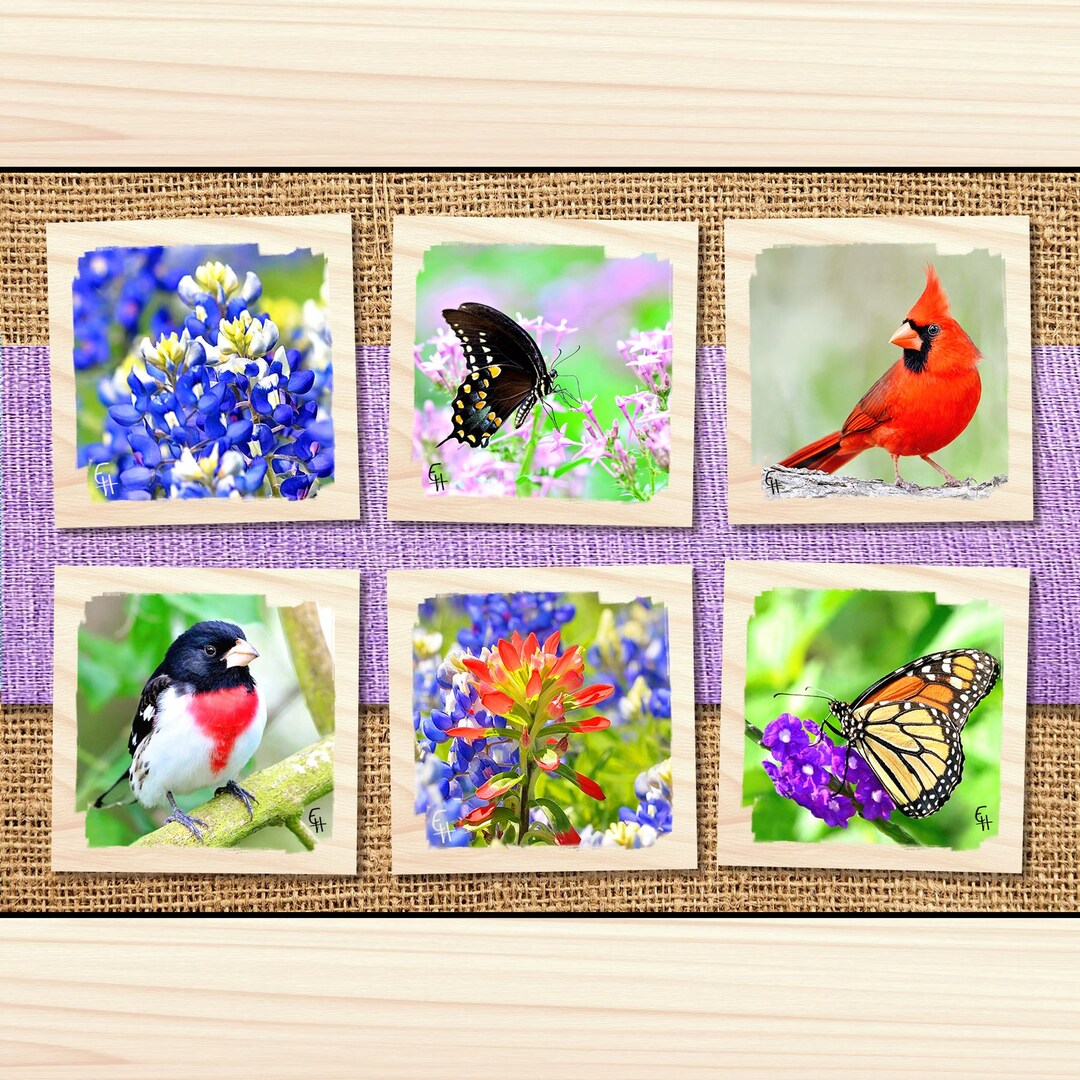 Set of 6 Birds, Butterflies, Wildflowers Fridge Magnets - Bluebonnets ...