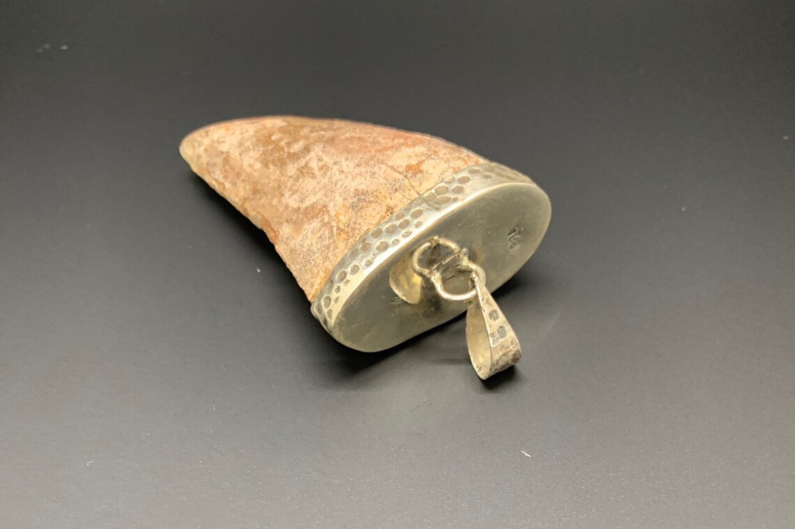 Carcharodontosaurus Tooth Fossil Pendant Dinosaur Tooth Necklace 925 ...