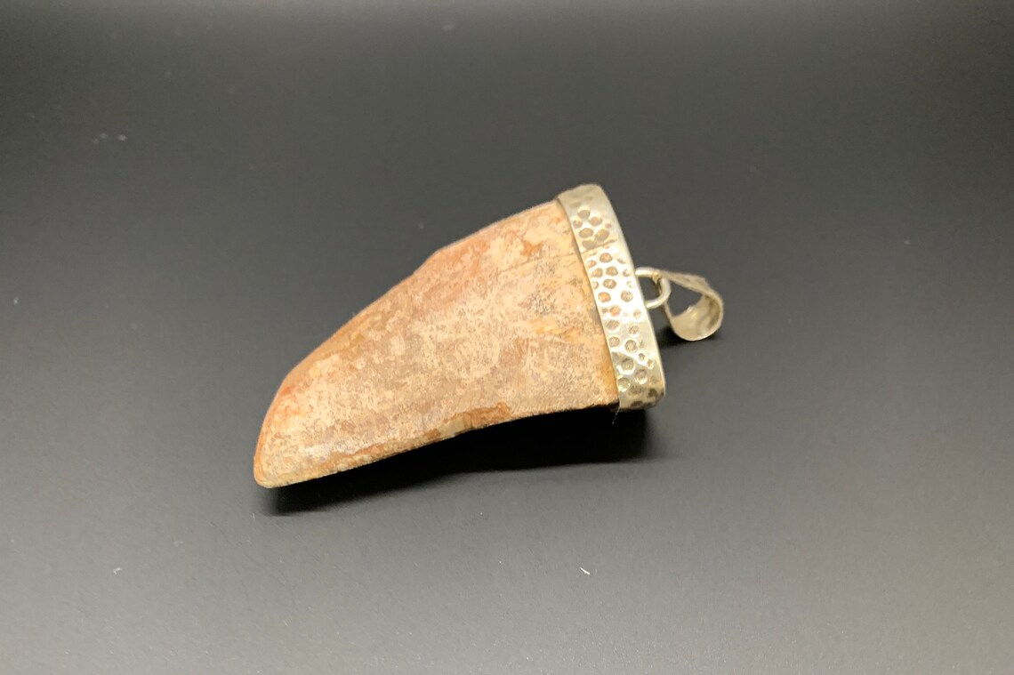 Carcharodontosaurus Tooth Fossil Pendant Dinosaur Tooth Necklace 925 ...