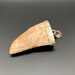 Carcharodontosaurus Tooth Fossil Pendant Dinosaur Tooth Necklace 925 ...