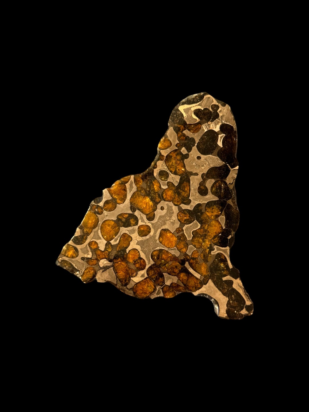 Authentische Pallasit Meteorit Scheibe Brenham Pallasit Brenham ...