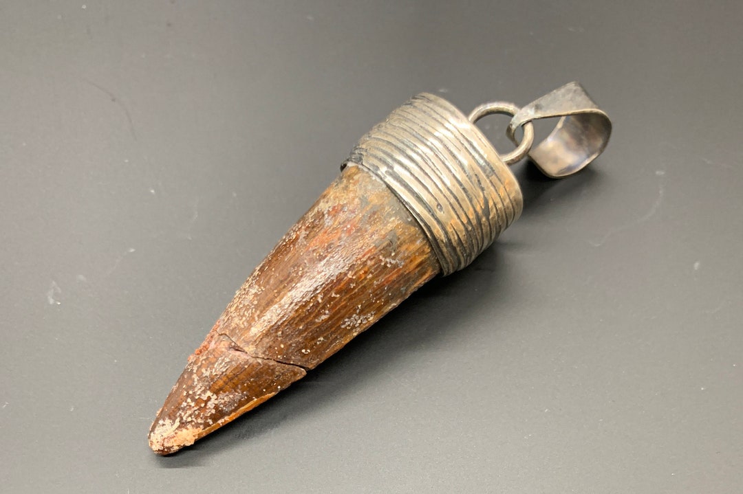 Spinosaurus Tooth 1 3/4 Silver Pendant Dinosaur Tooth Necklace 925 ...