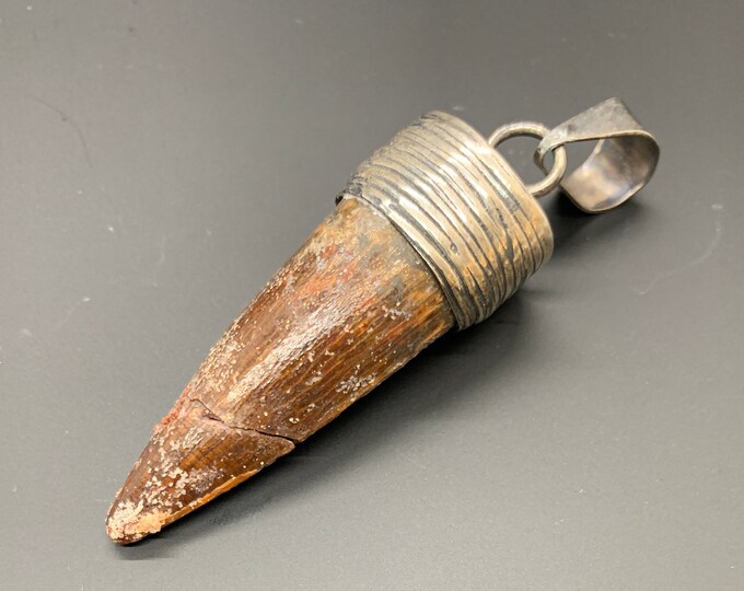 Spinosaurus Tooth 1 3/4” Silver Pendant | Dinosaur Tooth Necklace | 925 ...