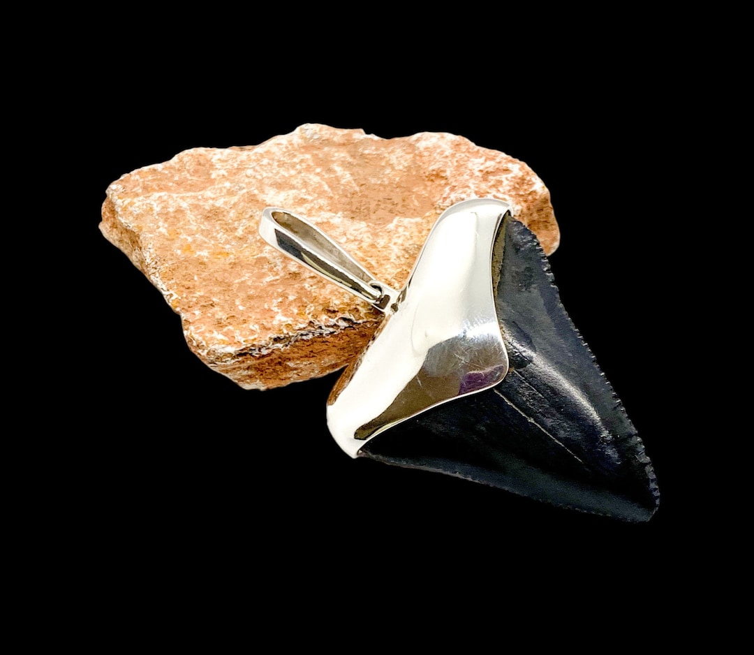 Megalodon Tooth Sterling Silver Pendant - Etsy