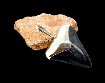 Carcharodontosaurus Tooth Fossil Pendant Dinosaur Tooth Necklace 925 ...