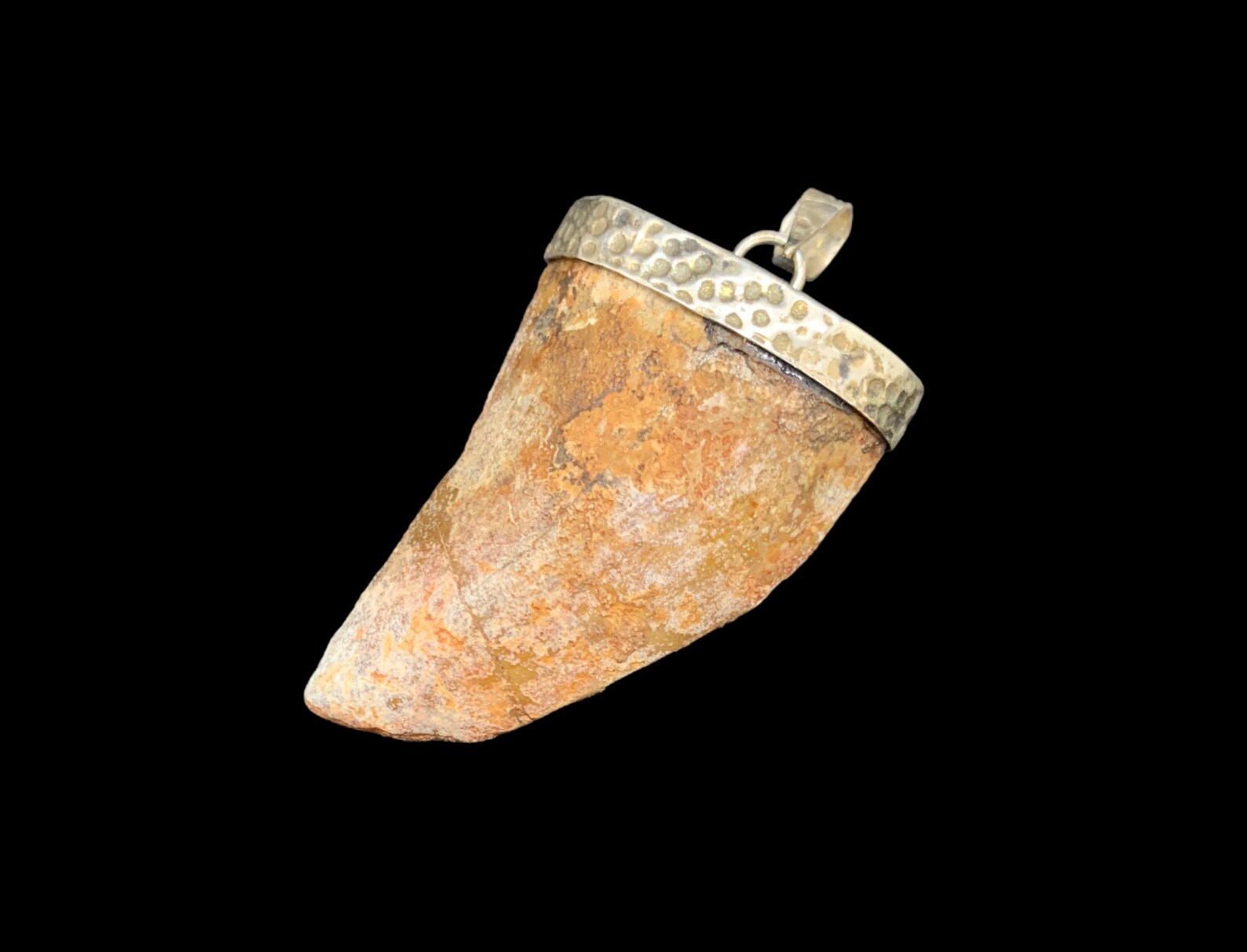 Carcharodontosaurus Tooth Fossil Pendant Dinosaur Tooth Necklace 925 ...