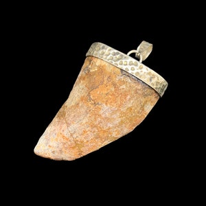 Carcharodontosaurus Tooth Fossil Pendant Dinosaur Tooth Necklace 925 ...