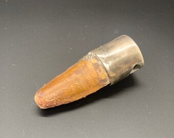 Spinosaurus Tooth Necklace - Etsy