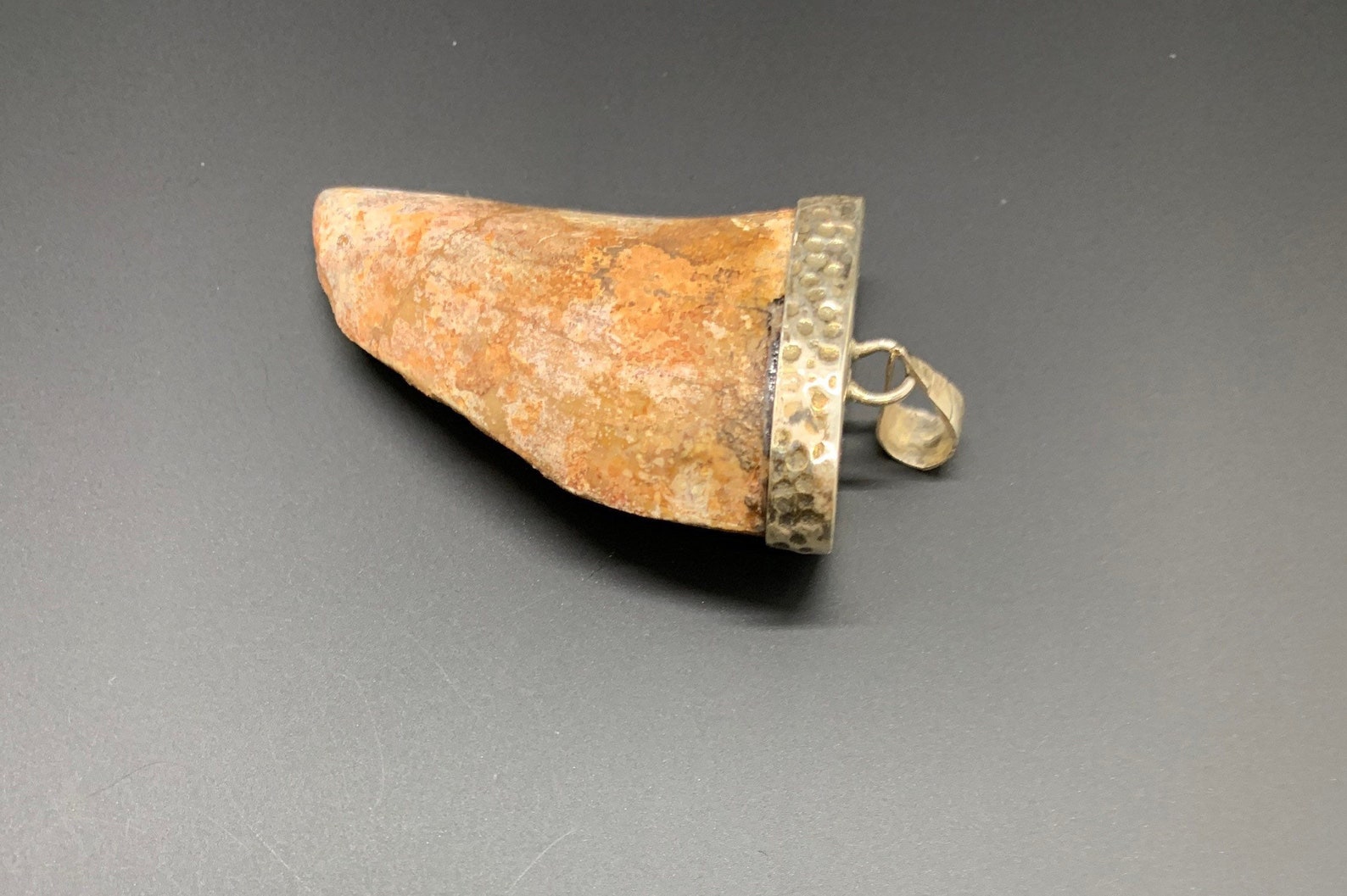 Carcharodontosaurus Tooth Fossil Pendant Dinosaur Tooth Necklace 925 ...