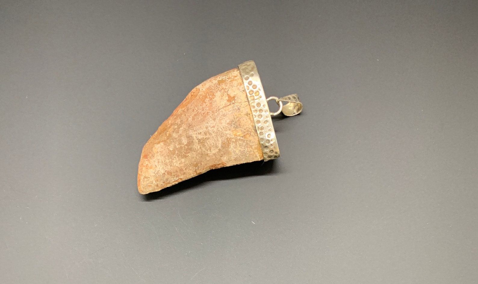 Carcharodontosaurus Tooth Fossil Pendant Dinosaur Tooth Necklace 925 ...