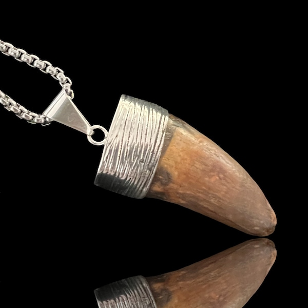 Spinosaurus Tooth Necklace - Etsy