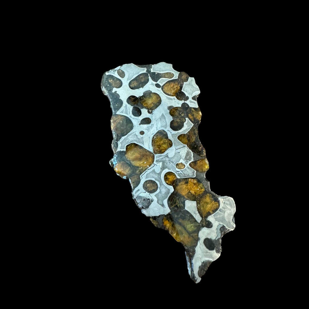 Brenham Pallasite Meteorite Slice: Etched & Polished Authentic Space ...