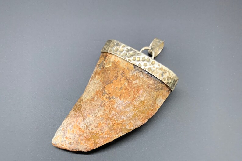 Carcharodontosaurus Tooth Fossil Pendant Dinosaur Tooth Necklace 925 ...