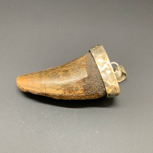 Carcharodontosaurus Tooth Fossil Pendant Dinosaur Tooth - Etsy
