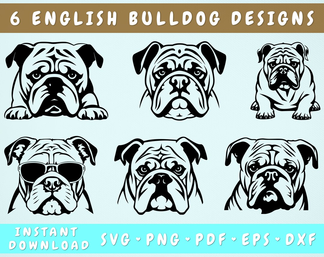 English Bulldog SVG Bundle, 6 Designs, English Bulldog Cut Files ...