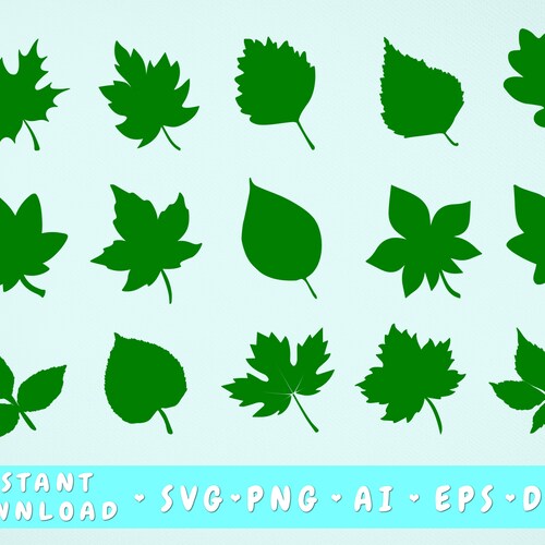 Leaves Svg Bundle 15 Designs Included Personal & - Etsy