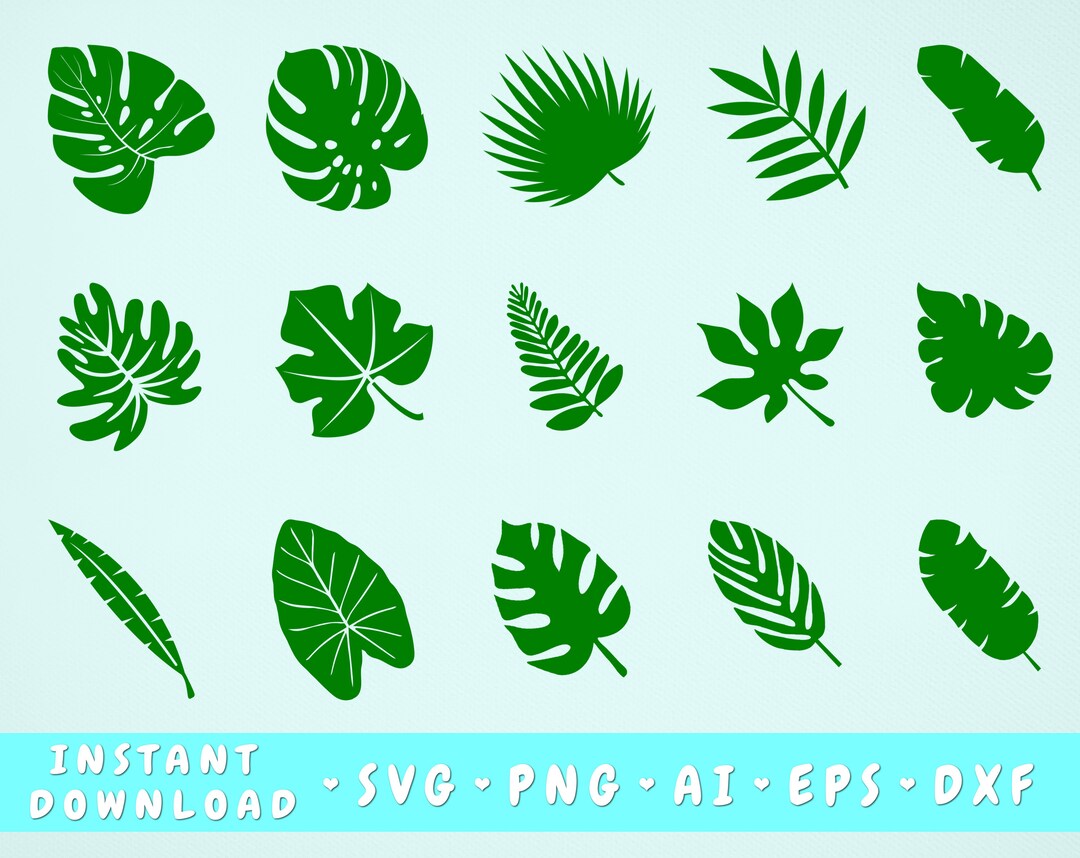 Tropical Leaves SVG Bundle - 15 Designs, Banana Leaf Svg, Monstera Leaf Svg, Palm Leaf Svg ...