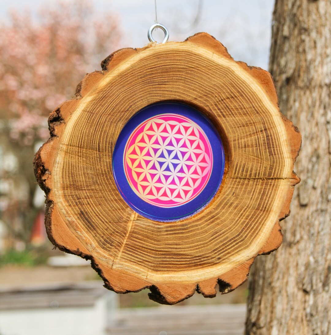 Sun Catcher, Tree Disc With Flower of Life, Wooden Disc Robinia Approx ...