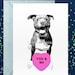 Instant Download Digital File | Pitbull Valentine Card | Dog Valentine ...