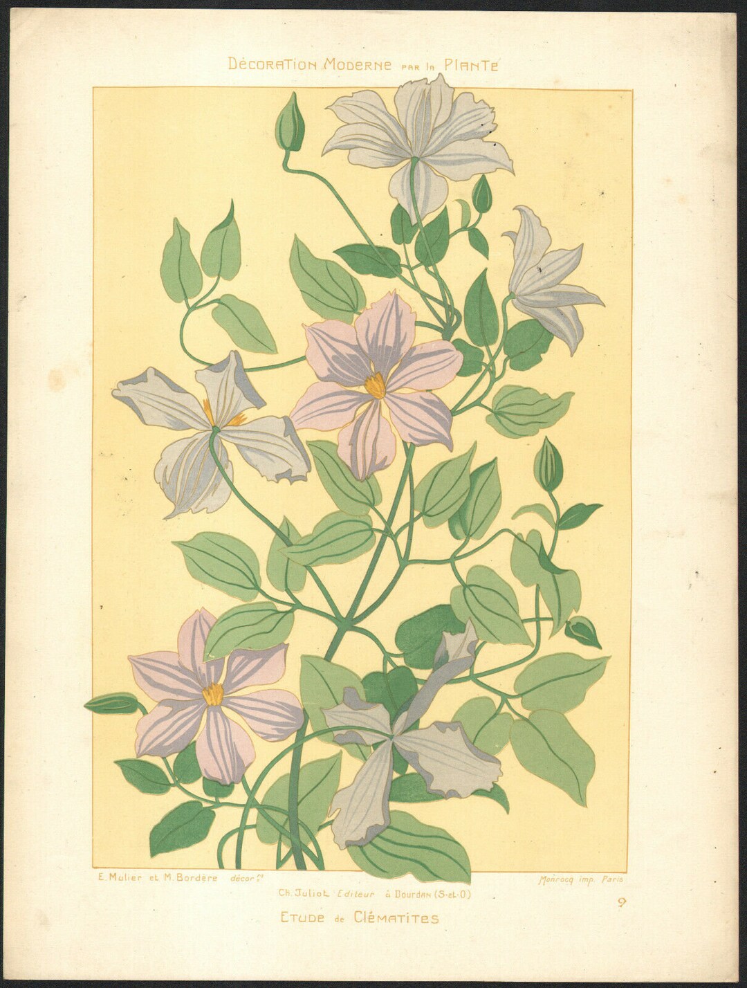 1900 Lithography Art Nouveau Study of Clematis Flower Decoration - Etsy