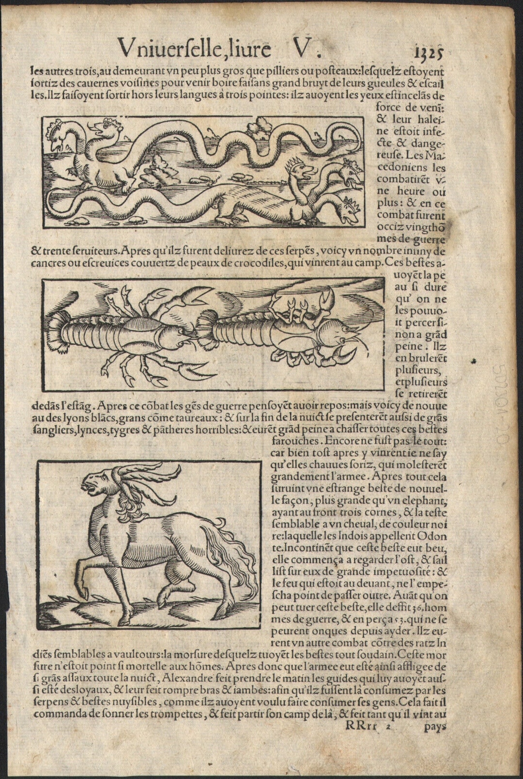 1552 Woodcuts Fantastic Creatures Unicorn Monsters Mythology - Etsy