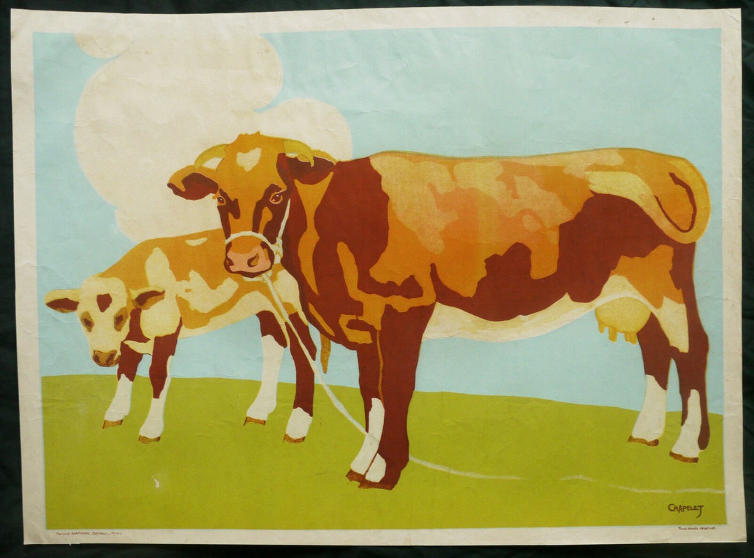 1910 Rare Art Deco Poster Lithograph Cows Calf Nathan Chapelet Animals ...