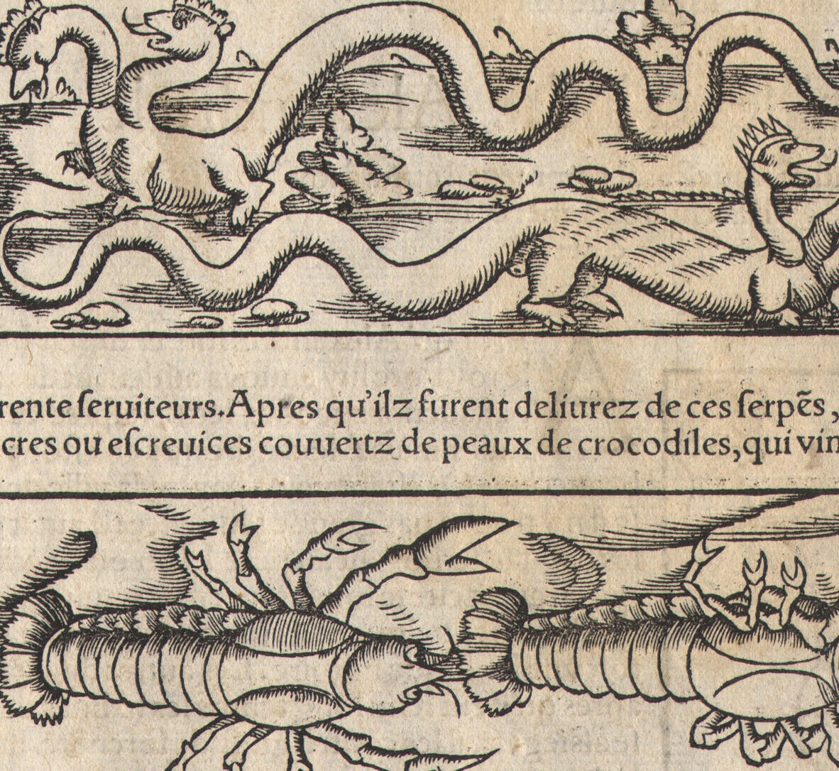 1552 Woodcuts Fantastic Creatures Unicorn Monsters Mythology - Etsy