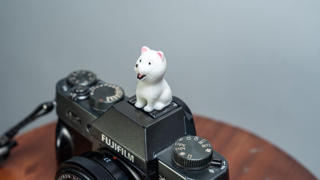 Adorable Camera Hot Shoe Cover – Cute Animal-themed Camera Accessories ...