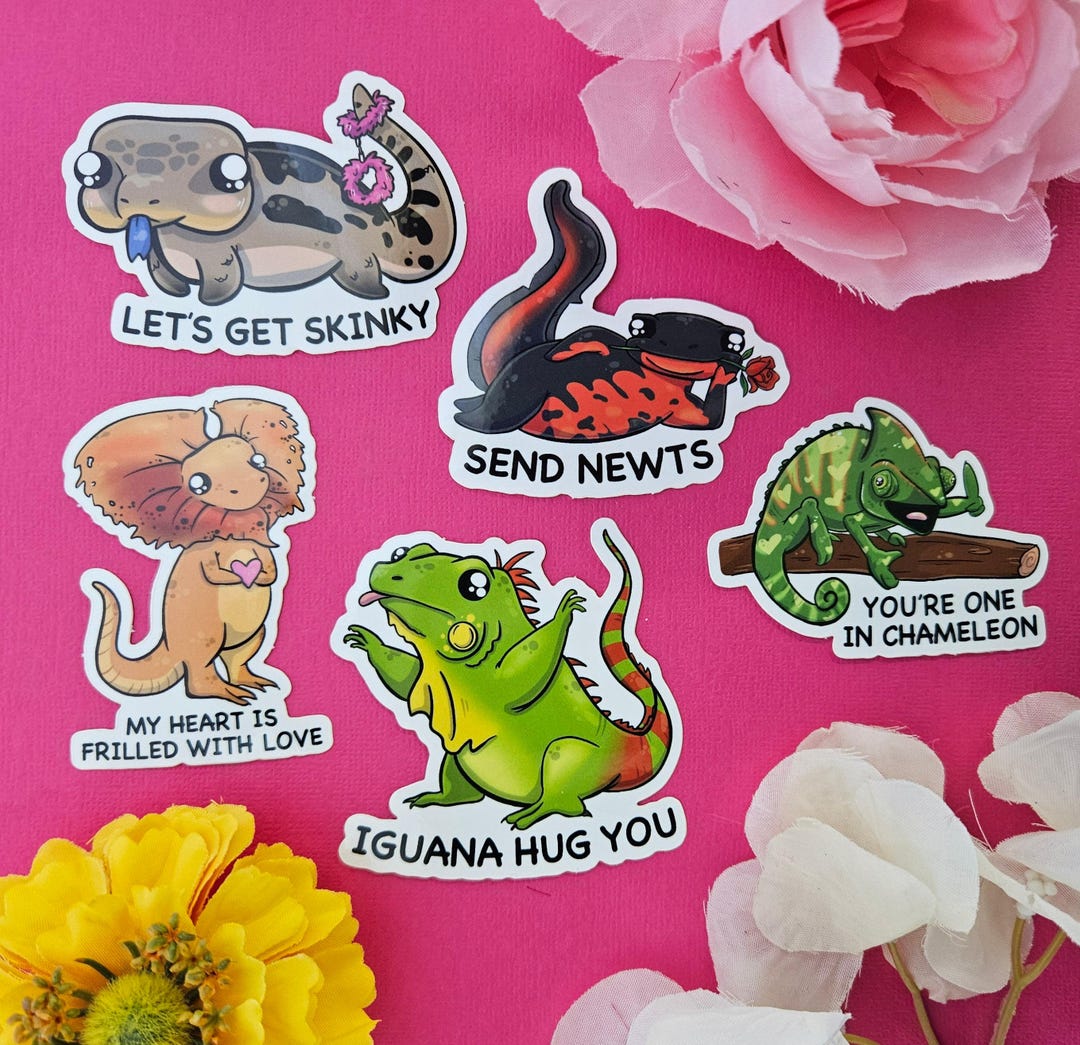 Love Lizards Pack 5 Stickers Lizard Puns Romantic Stickers Megs ...