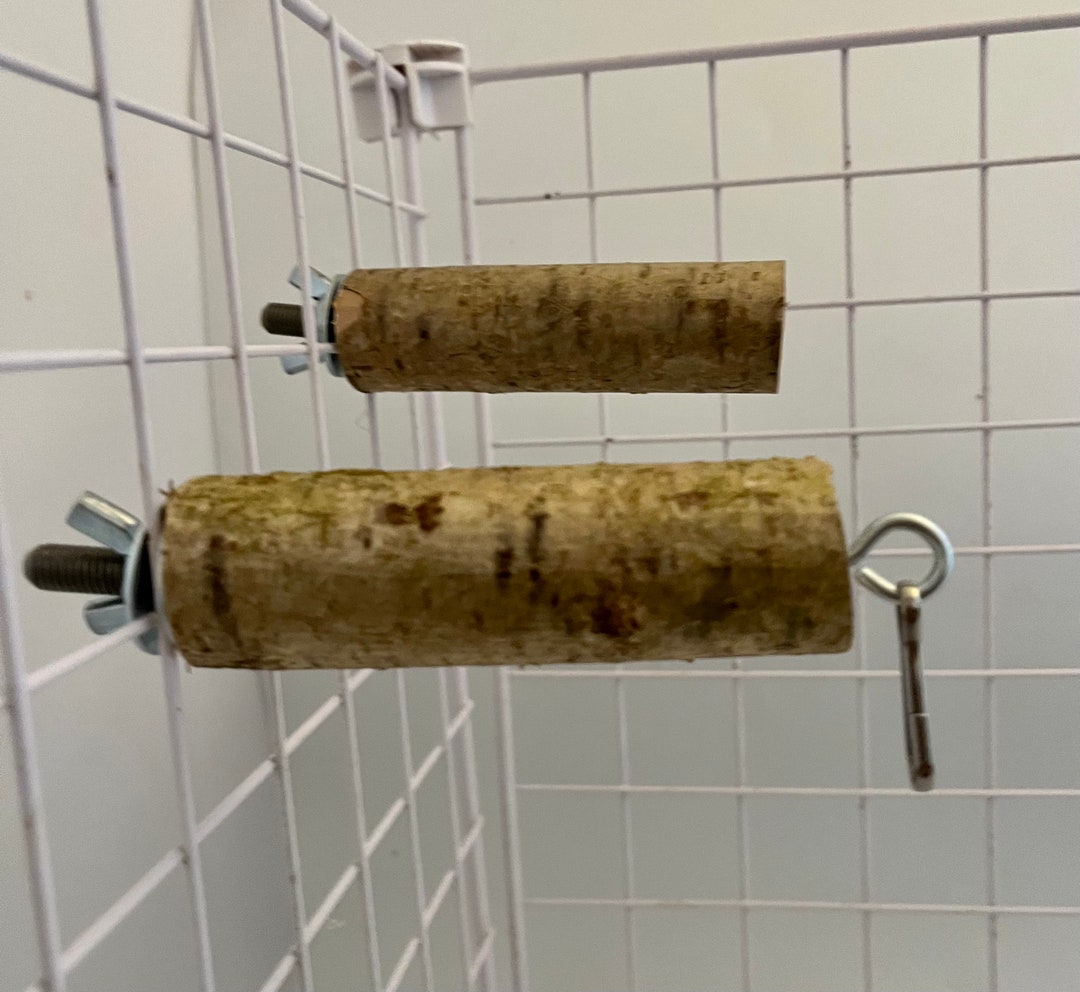Hazel Wood Rat Perch, Cage Accessories, Small Pet Toy (set of 3) - Etsy